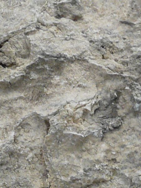 grey dirt wall texture 0015 - Texturelib